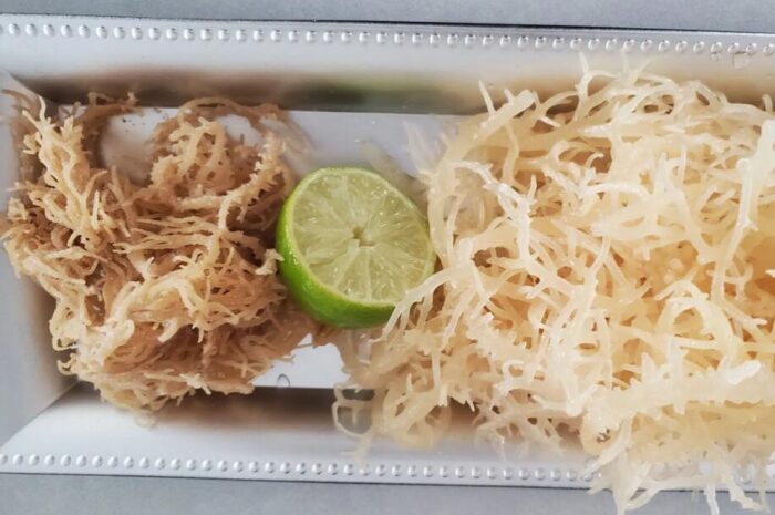 18 Amazing Benefits of Sea Moss and Side Effects