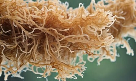 Sea Moss:18 Benefits,Nutrition, Side Effects & How to Eat It