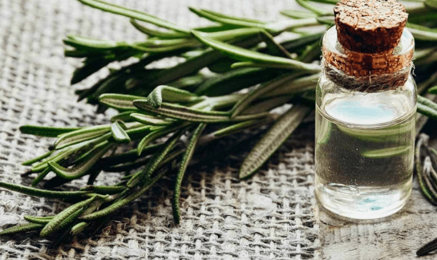 Basil Oil: Nutrition, Benefits and How to Use it