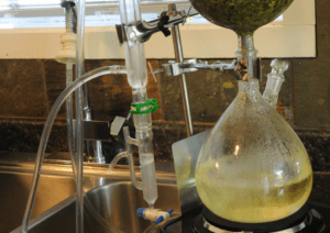 How to Make Peppermint Oil at Home(Step By Step)