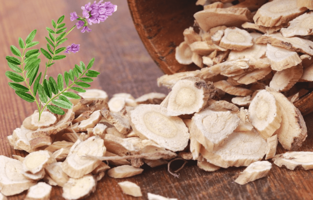 Astragalus (Huáng Qí): Nutrition, Benefits, Uses and Side Effects