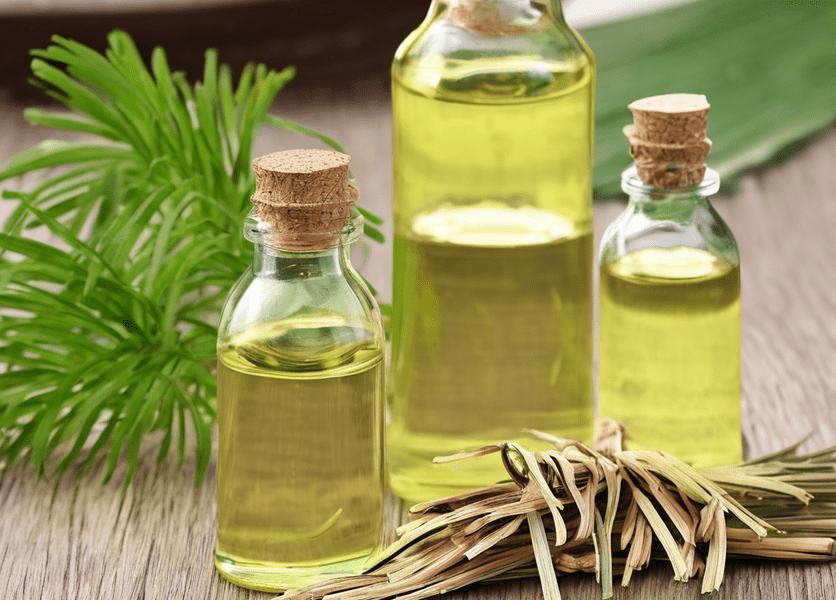 Citronella Oil: Nutrition, Benefits, Uses and Side Effects