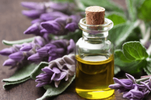 Clary Sage Oil: Nutrition, Benefits, Uses and Side Effects