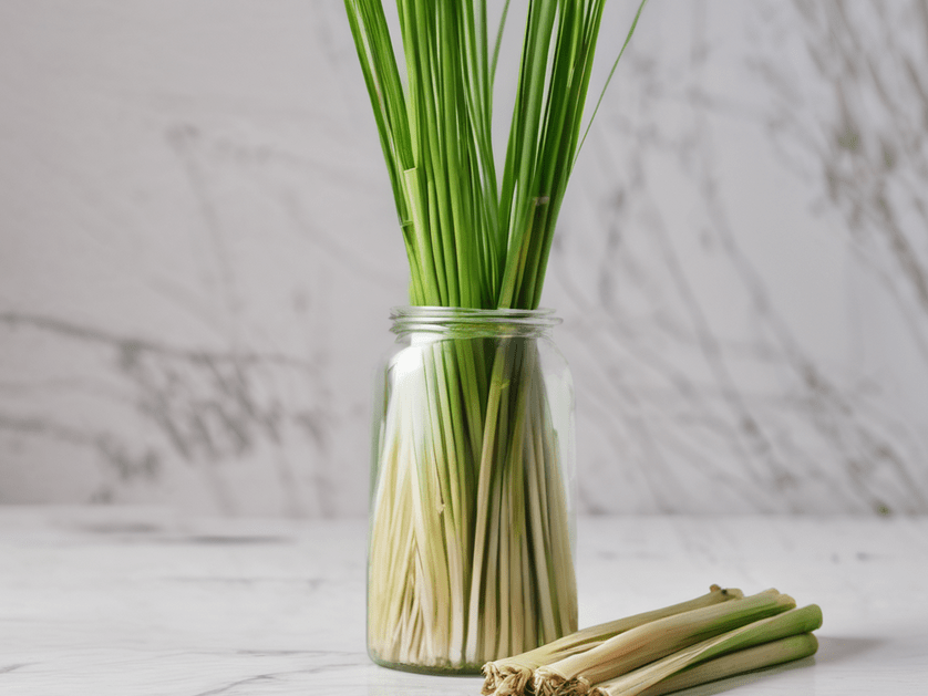 Lemongrass: Nutrition, Benefits, Uses and Side Effects