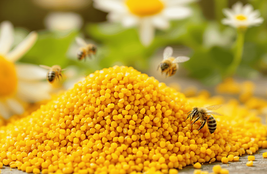 Bee Pollen:16 Health Benefits, Risks and How to Use it