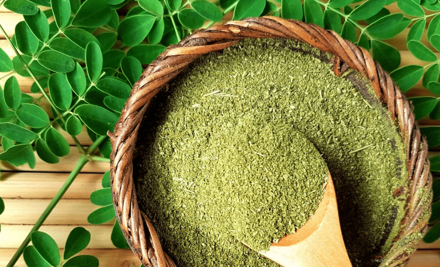 14 Amazing Health Moringa Benefits For Women