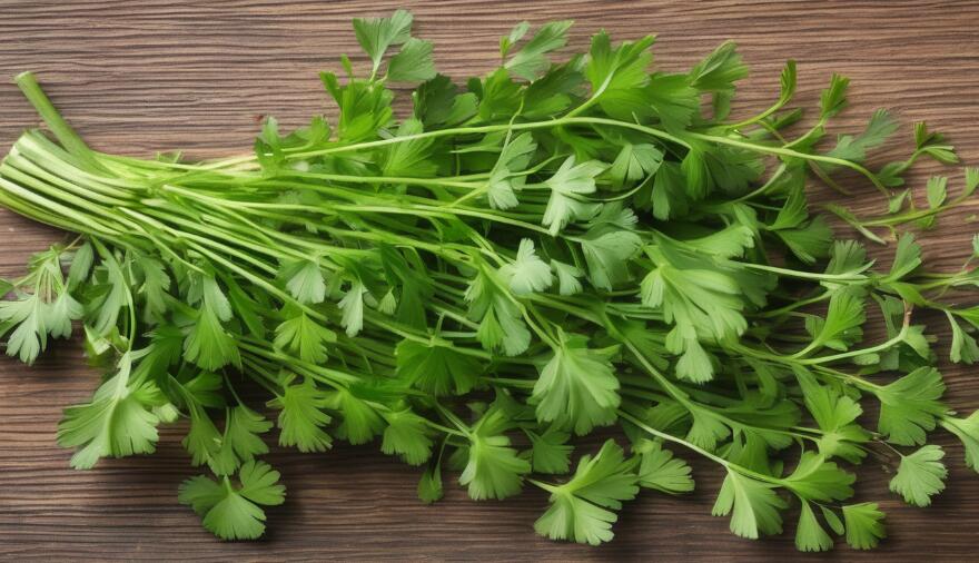 Coriander:18 Health Benefits, Side Effects & How to Take It