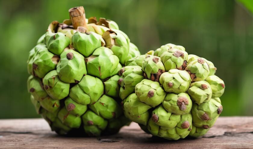 Sugar Apple:18 Benefits,Nutrition,Side Effects & How to Take It