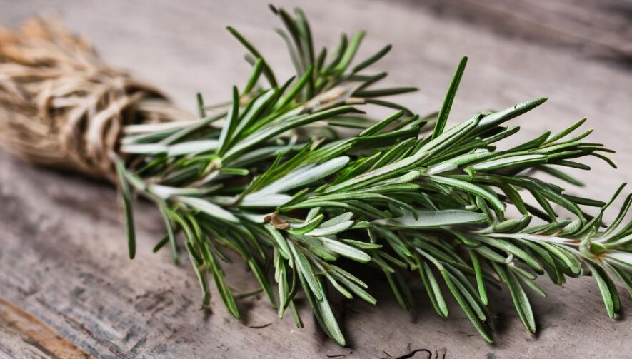 Rosemary: How to Plant, Grow, and Care For This Herb