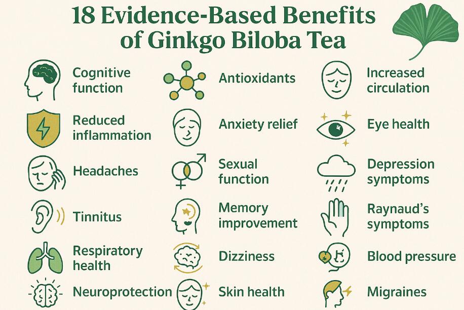 Ginkgo Biloba Tea:18 Benefits, Side Effects & How to Make It
