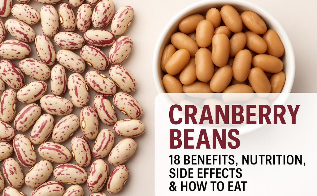 Cranberry Beans: What Are Cranberry Beans and 8 Ways to Cook