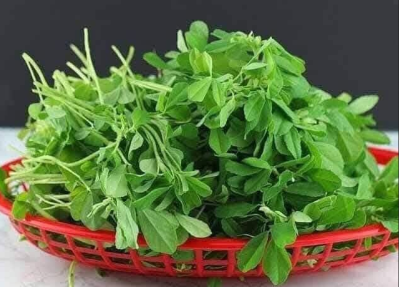 18 Amazing Fenugreek Benefits, Side Effects, and How to Use